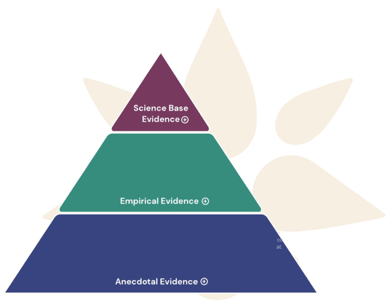 Apothecare - Discover a New Dimension of Wellness with Cannabis